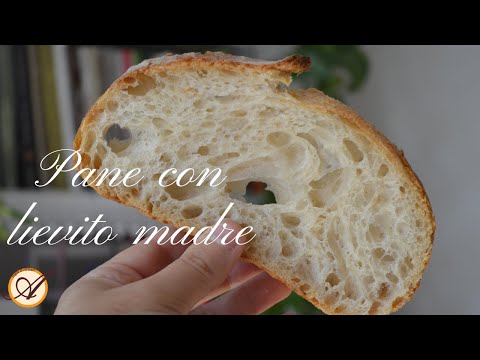 Pane impastato a mano - Sourdough Bread recipe - YouTube