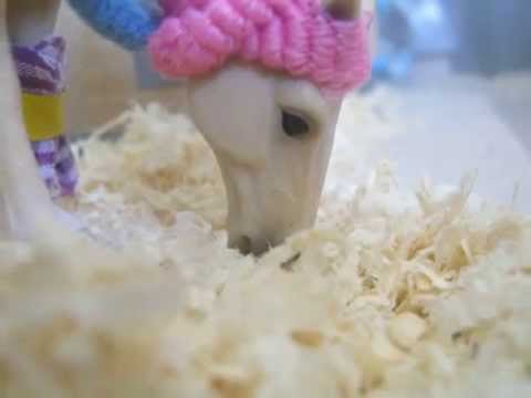 R.I.P Esperado ''Essi'' 23.3.13 Klo: 17:57