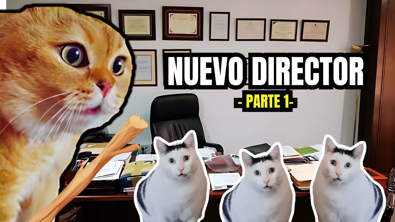 NUEVO DIRECTOR, parte 1 (meme de gatos) - YouTube