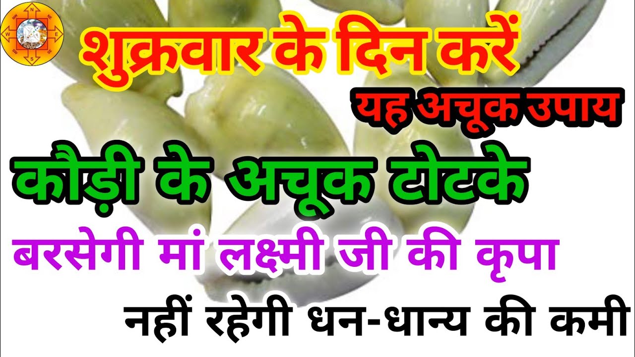 Kaudi ke Upay: कौड़ी से करें ये उपाय बरसेगी मां लक्ष्मी की कृपा, धन-धान्य की नहीं होगी कमी - YouTube