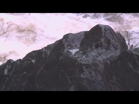 Norwich community concerned Ida will cause Yantic River to flood - YouTube