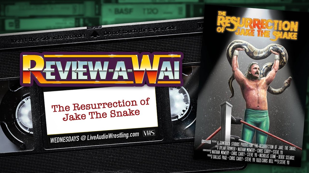 The Resurrection of Jake the Snake Documentary Review | REVIEW-A-WAI ...