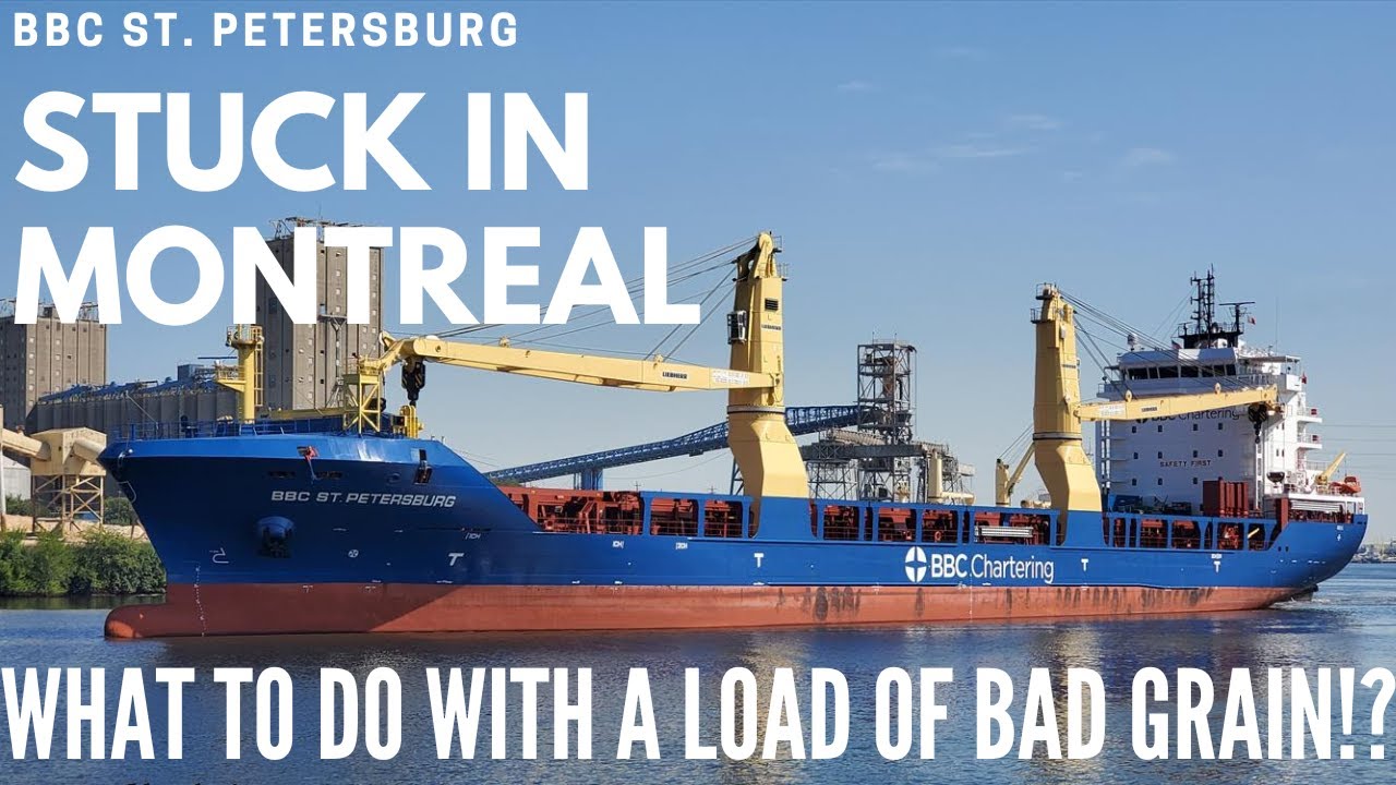 This ship loaded the wrong Cargo?! - YouTube