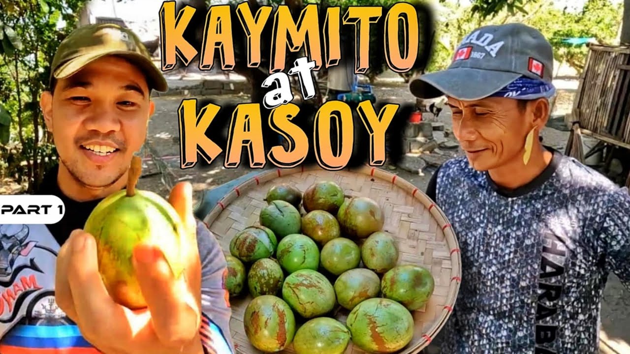P1 - Kaymito at Kasoy sa Meryenda - EP1735 - YouTube