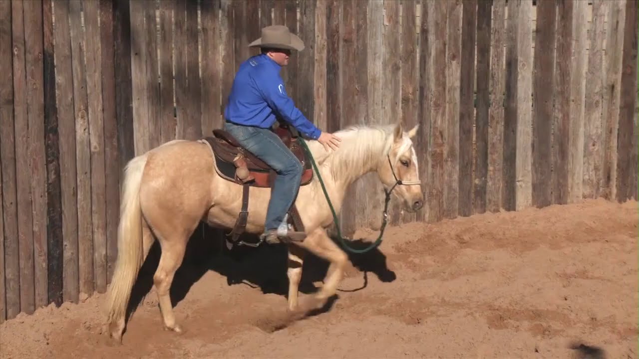 Casey Deary Starting 2-Year-Olds Part 6 - YouTube
