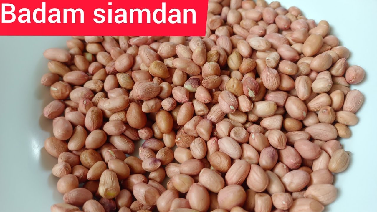 Badam siam dan // Peanut butter Recipe - YouTube