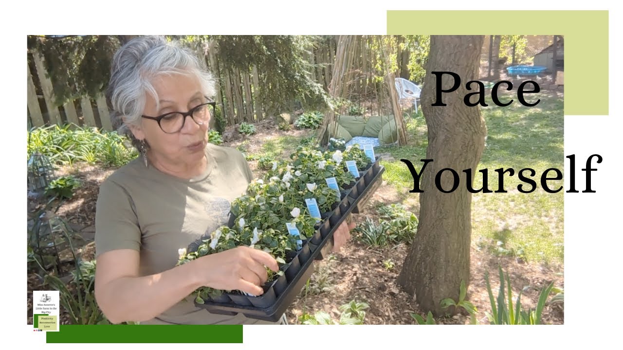 Pace Yourself - YouTube