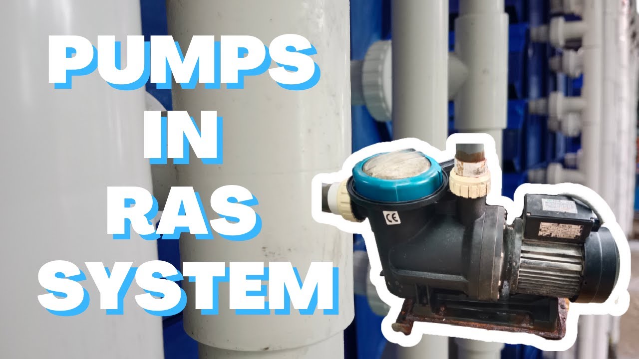 Pumps in RAS System - YouTube