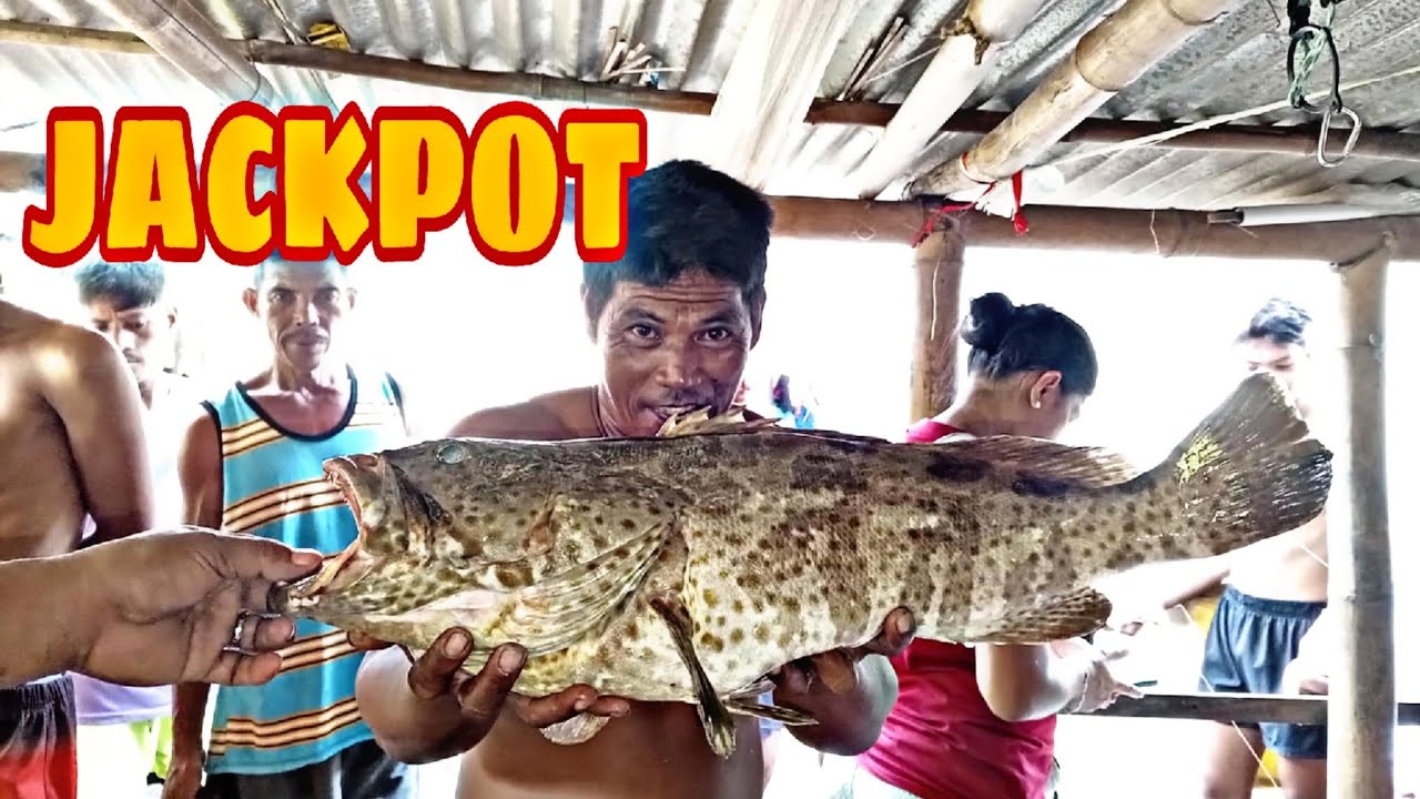 AYAW TALAGA LAYUAN NG KULAPO SI BUDDY - YouTube