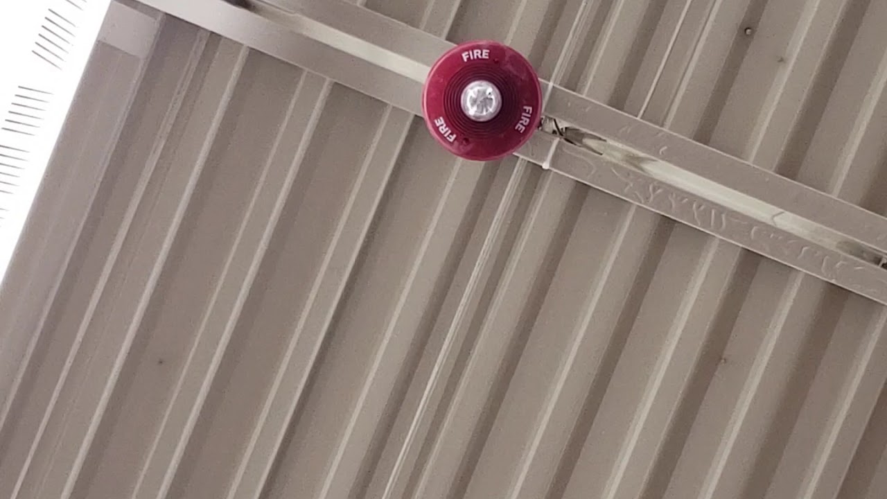 Spectralert Fire Alarm Horn Ceiling Mount at Walmart - YouTube