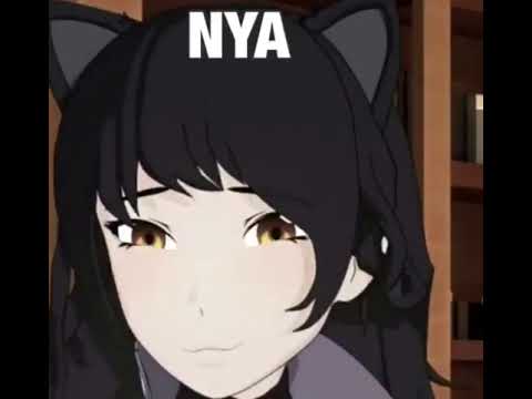 Blake meows then vomits