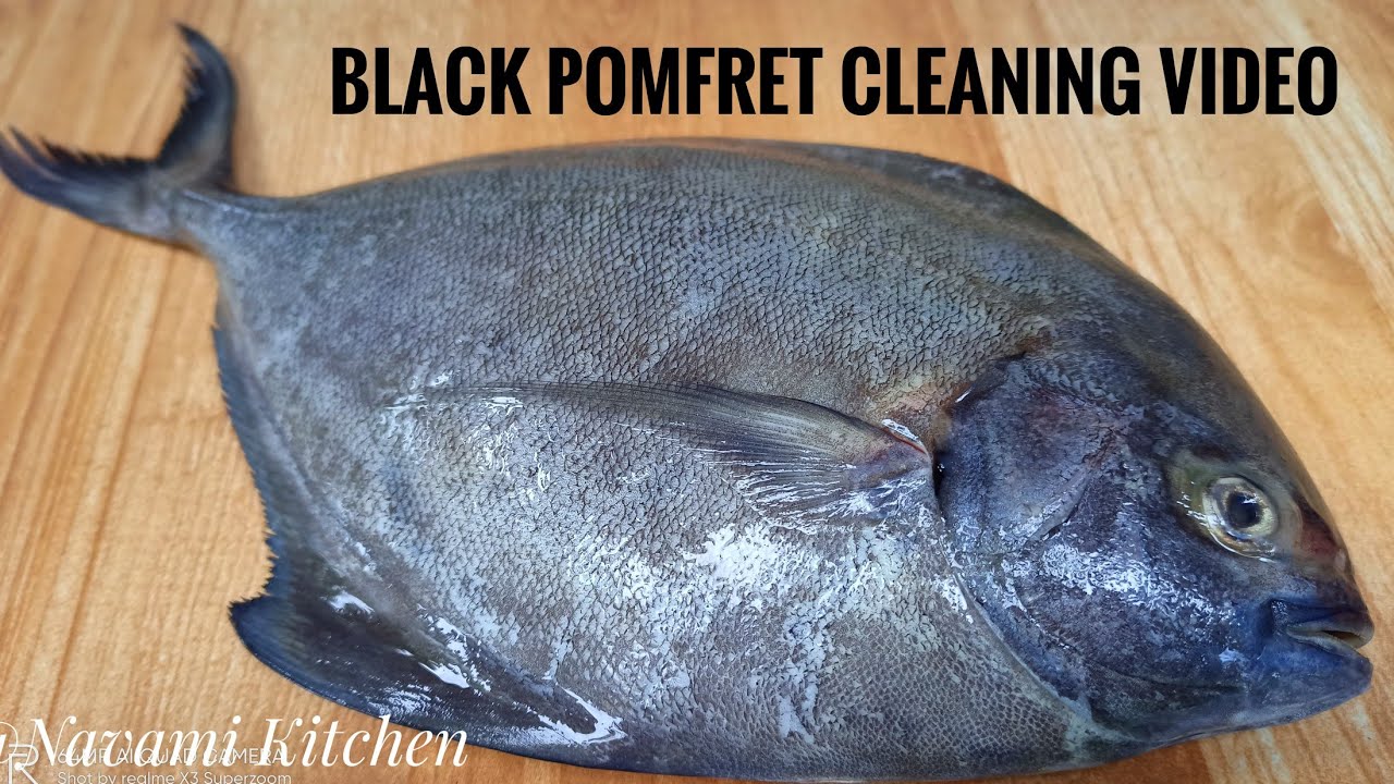 Black pomfret Cleaning | കറുത്ത ആവോലി | Avoli fish Cleaning | fish ...