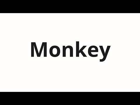 Monkey necə tələffüz edilir