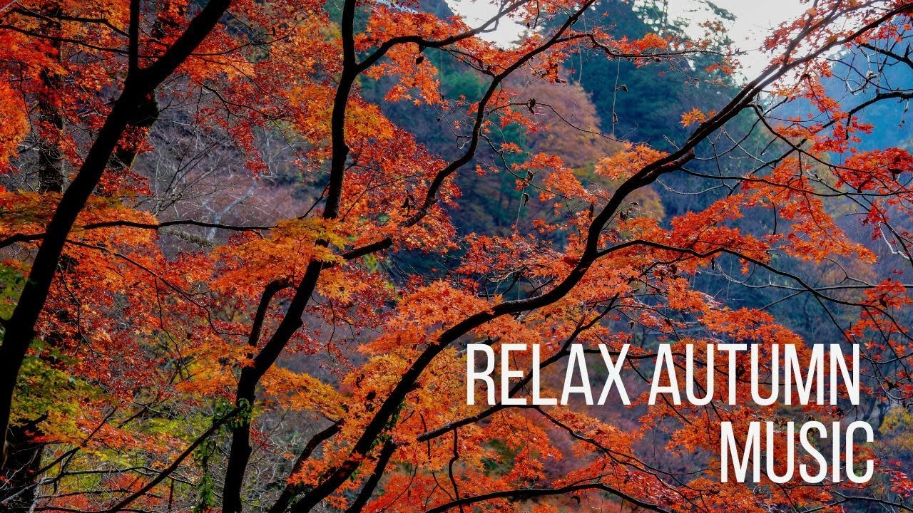 Autumn Relaxation Music | Gilmore girls | Rustling Leaves and ...