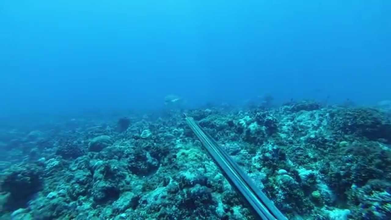 Guam Spearfishing Leagues Deep "fish guy" - YouTube