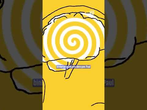 Mantarların Gizemli Dünyasını Biliyor muydunuz?