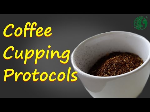 Coffee Cupping Protocols | ECHOcommunity.org