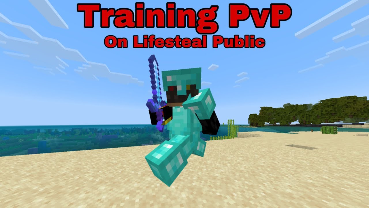 Training PvP on lifesteal public Lifesteal.net - YouTube