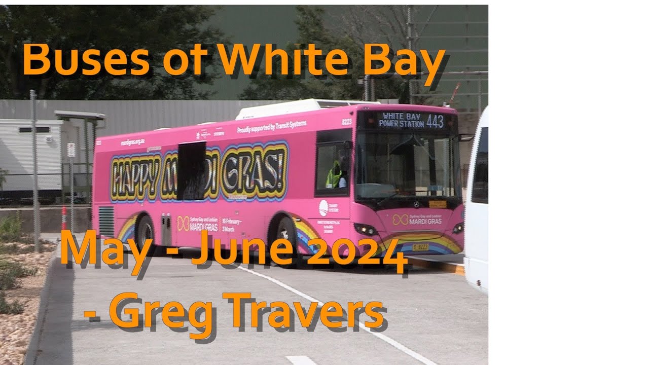 Australian Buses Sydney: Buses of White Bay March -June 2024 amazing ...