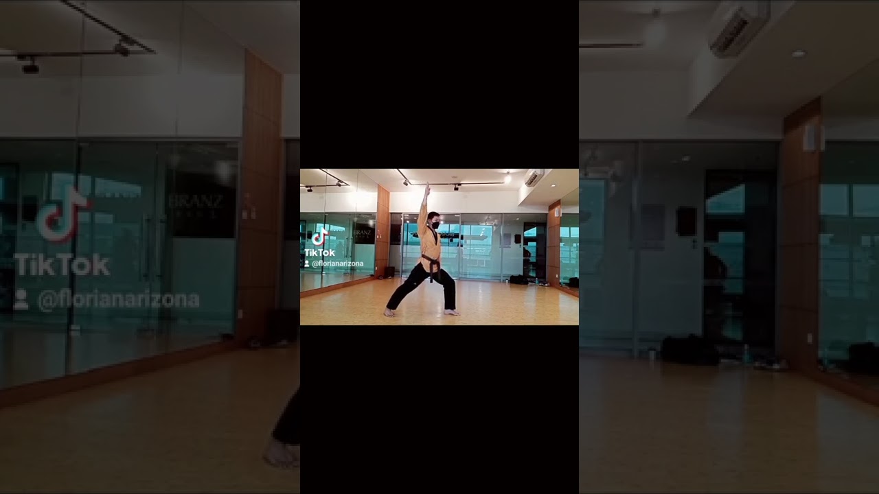 Body position and weight distribution when performing Taekwondo front ...