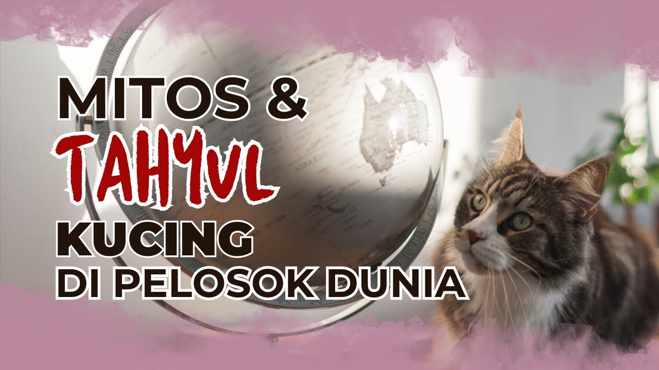 Mitos dan Takhayul Mengenai Kucing dari Berbagai Belahan Dunia - YouTube