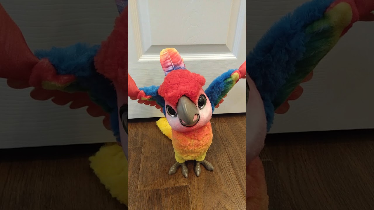 Hasbro FurReal Friends Rock-a-Too Interactive The Show Bird Demo Parrot ...