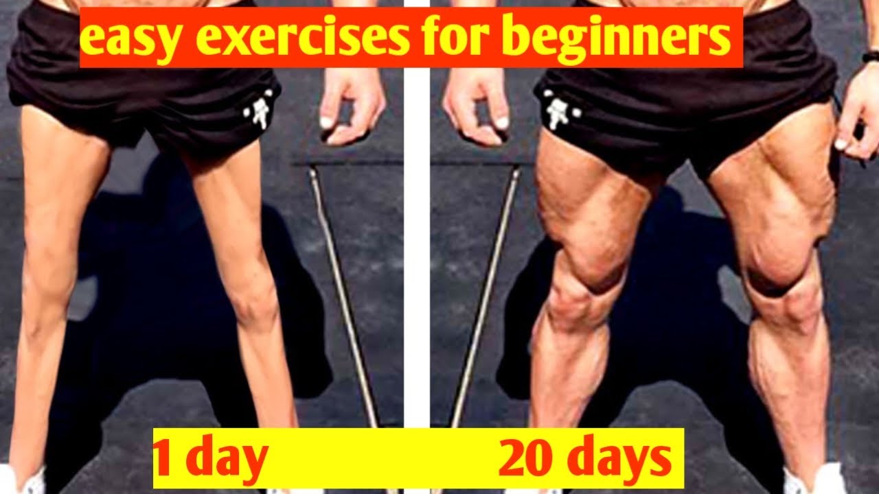 7 Easy Exercises Leg at home NO EQUIPMENT Needed//20_MIN_HOME_LEG ...