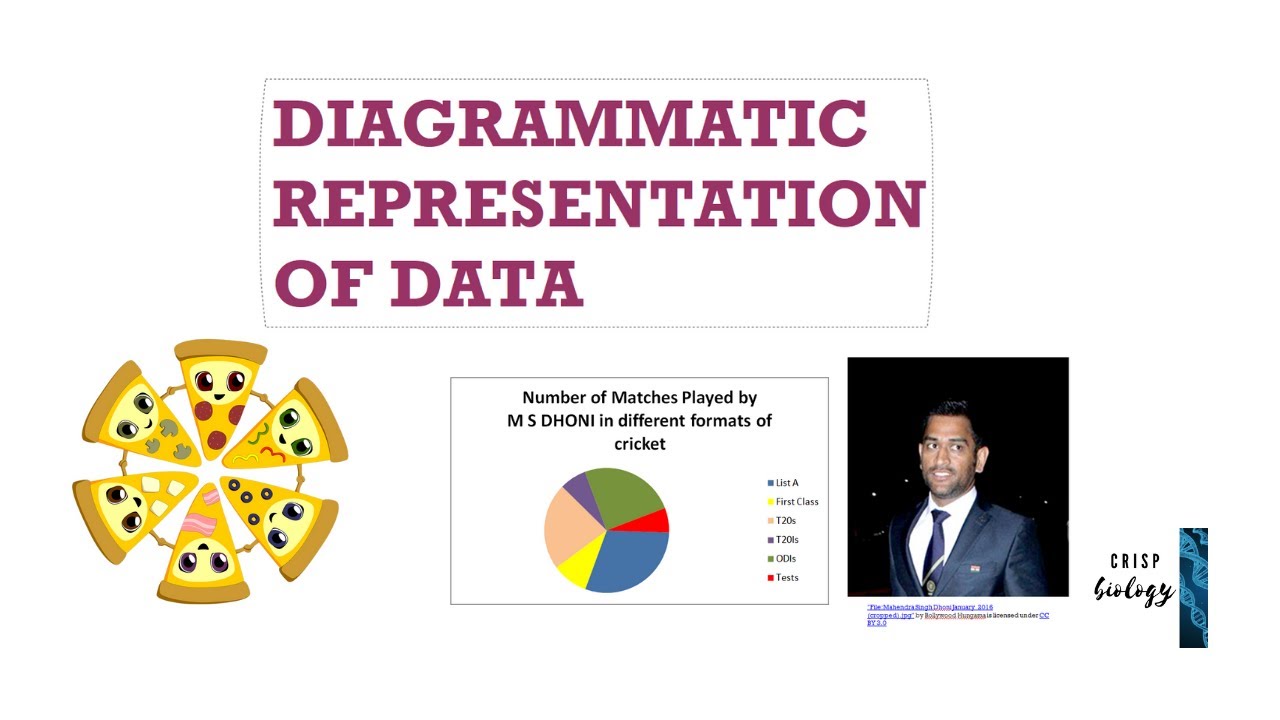 Diagrammatic Representation of Data| Biostatistics |CRISP BIOLOGY - YouTube