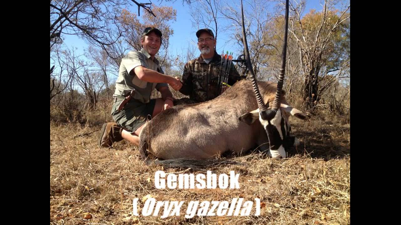 Kusini African Safaris Show Reel 2014 - YouTube