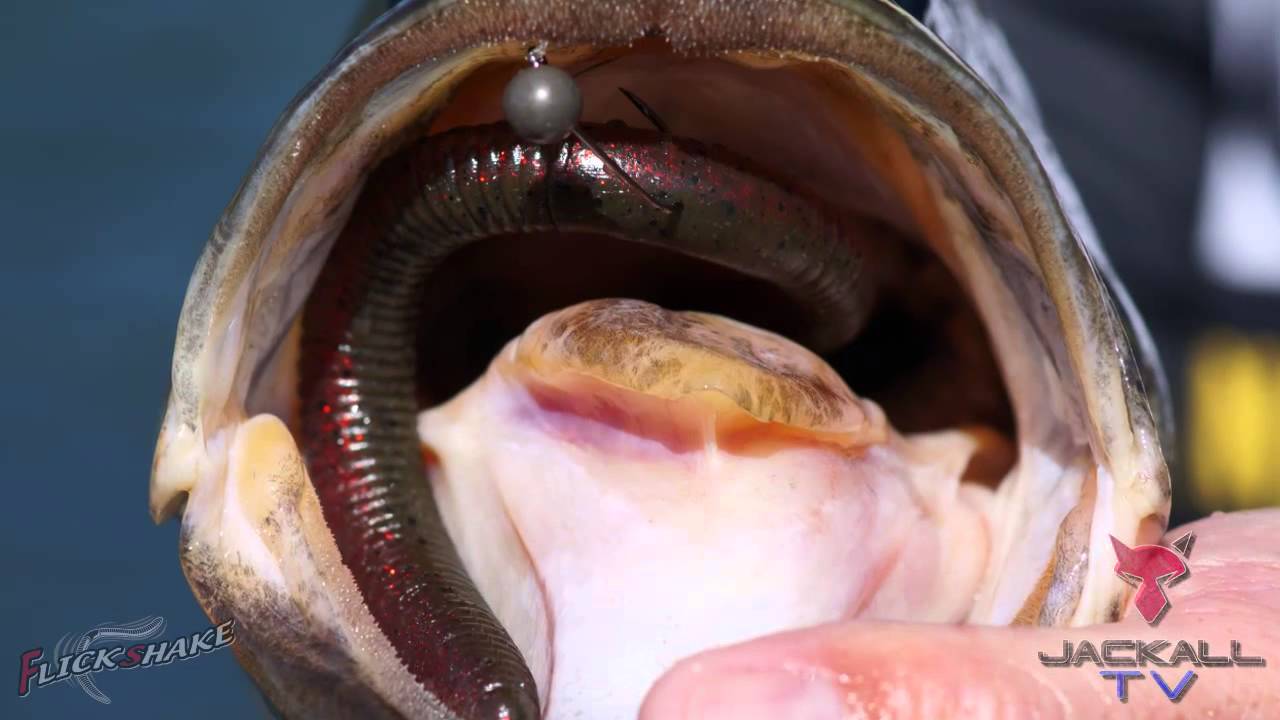 JACKALL FLICK SHAKE - YouTube