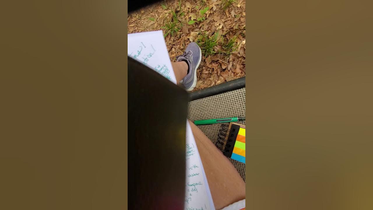 AP Literature: Poetry Analysis "Crossing the Swamp" - YouTube