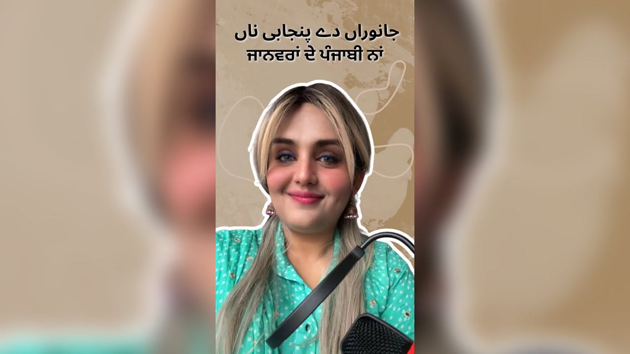 Let’s learn proper Punjabi names of animals ( part 1) - YouTube