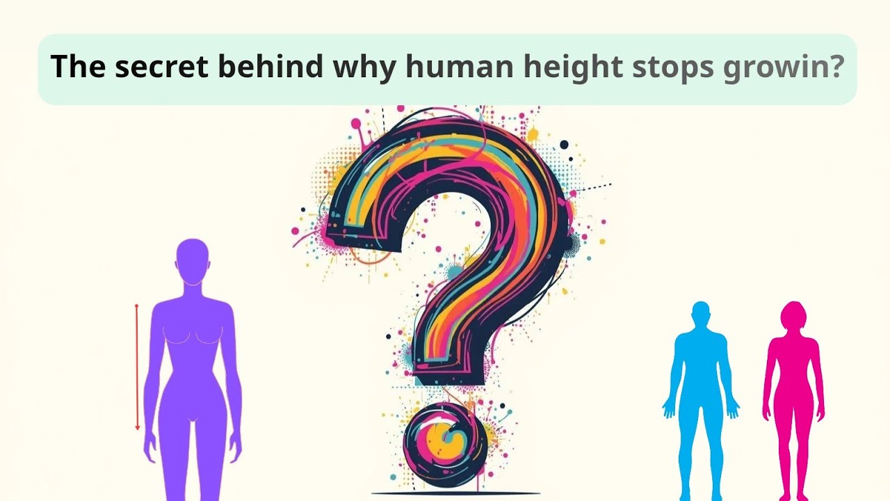 Why does human height growth stop? - YouTube