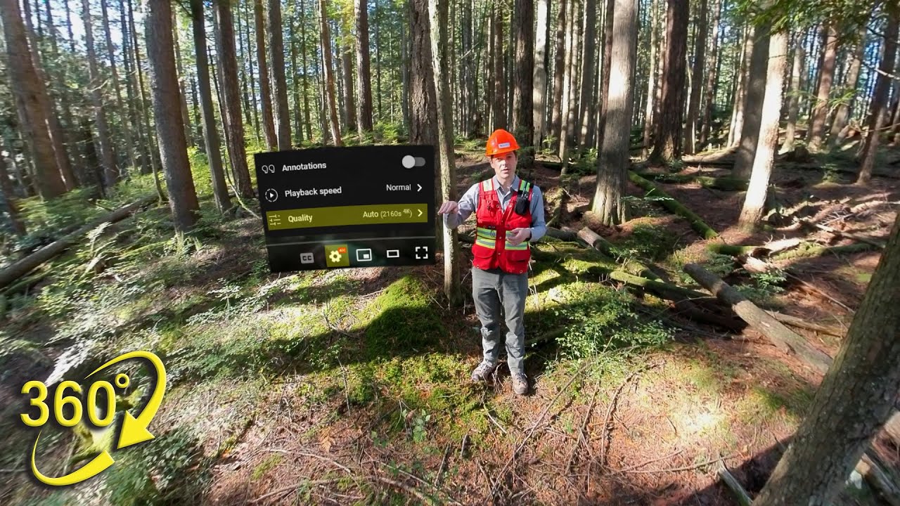 How to View a 360° VR Video - YouTube