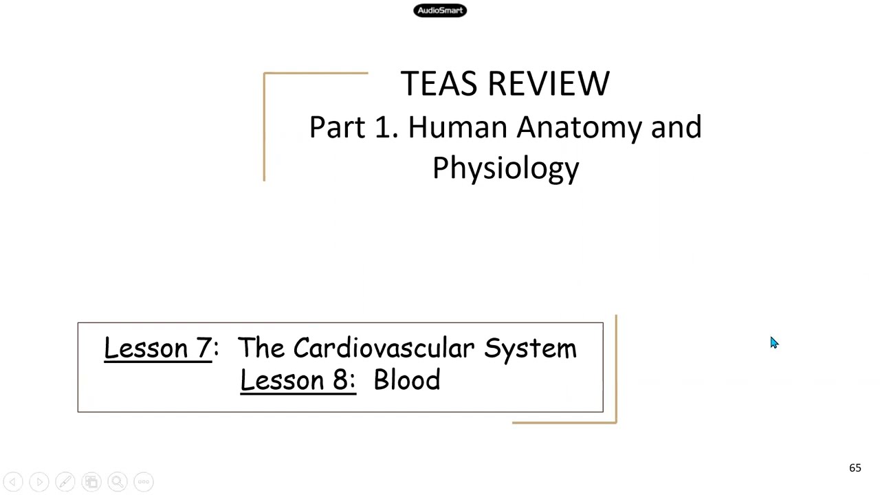 TEAS 6 vs 7 Cardiovascular system and blood - YouTube