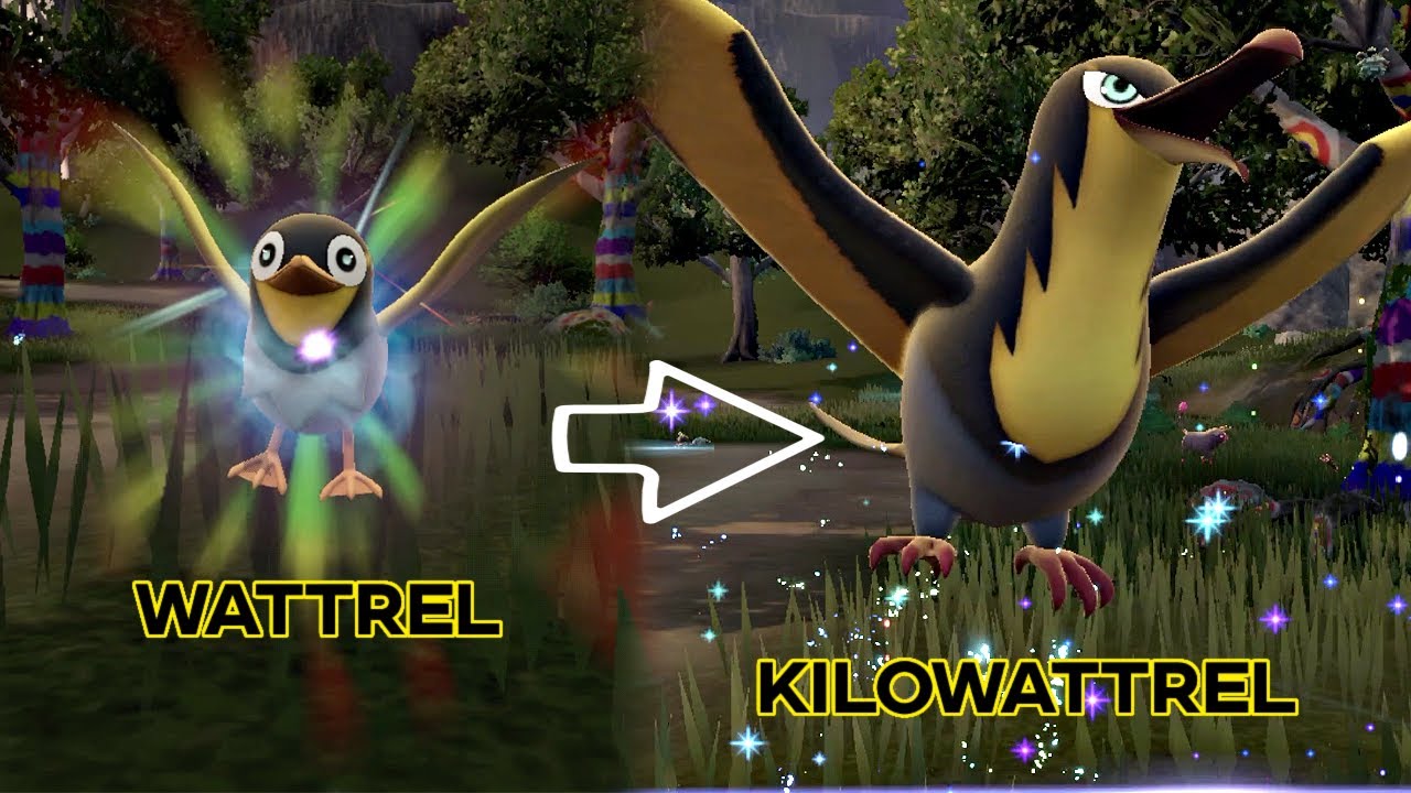Wattrel evolves to Kilowattrel // Pokemon Evolution - YouTube