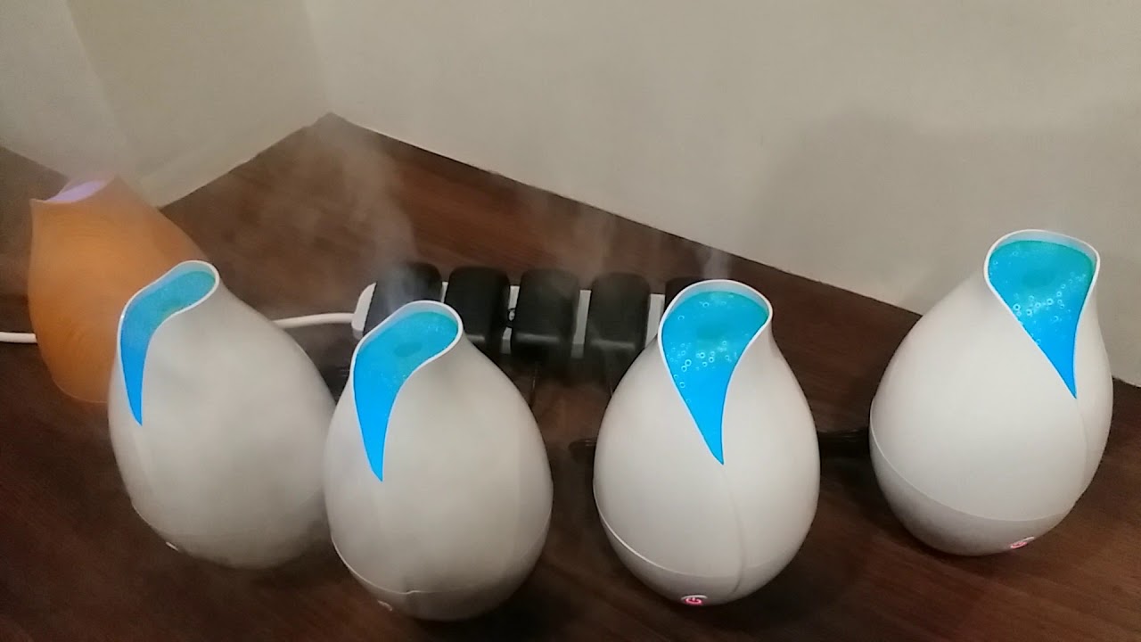 White TULIP Diffuser - YouTube