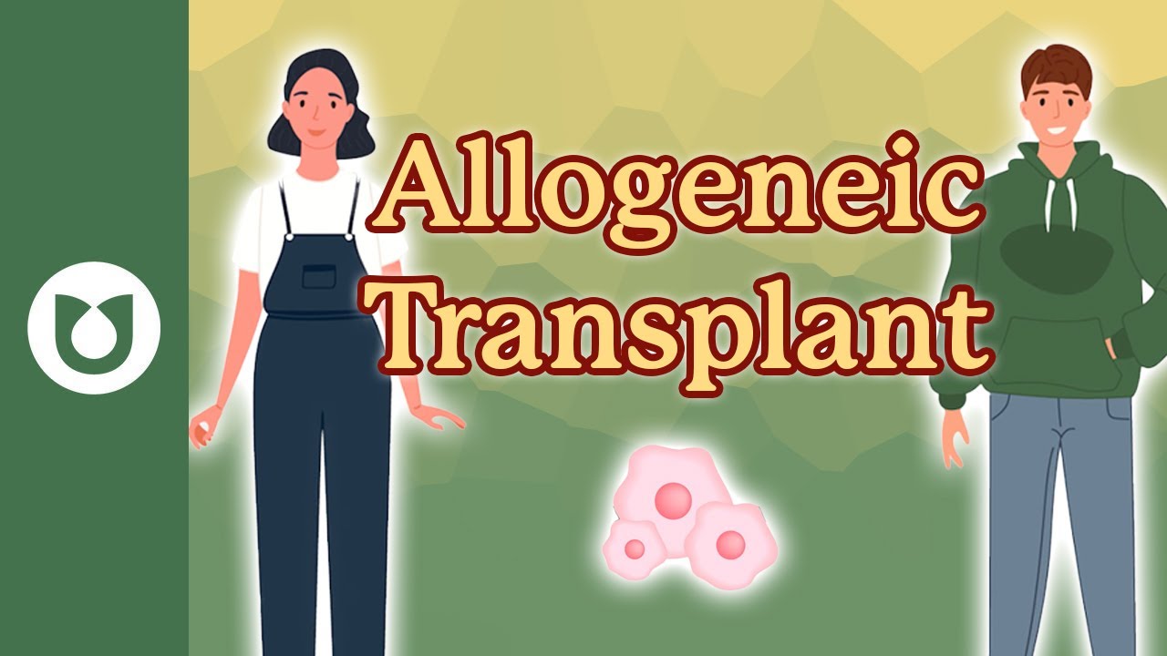 What is an allogeneic transplant? #AML - YouTube