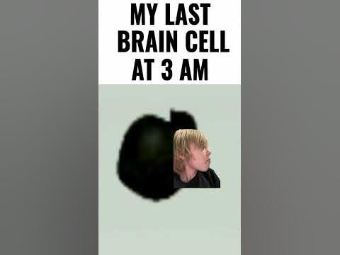 I lost my brain cell - YouTube