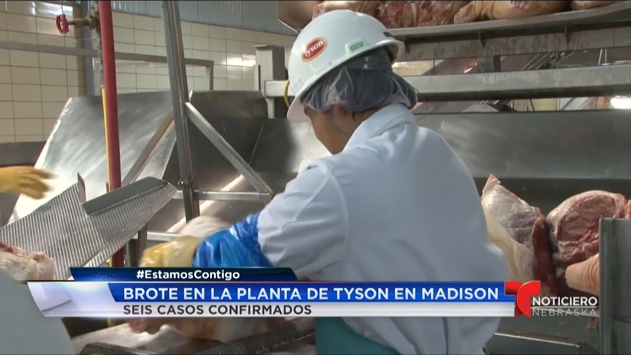 Brote en la planta de Tyson en Madison, 6 casos confirmados - YouTube