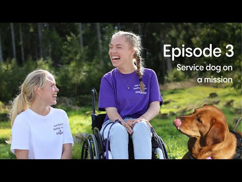 Episode 3: Service dog on a mission 🐶 - YouTube