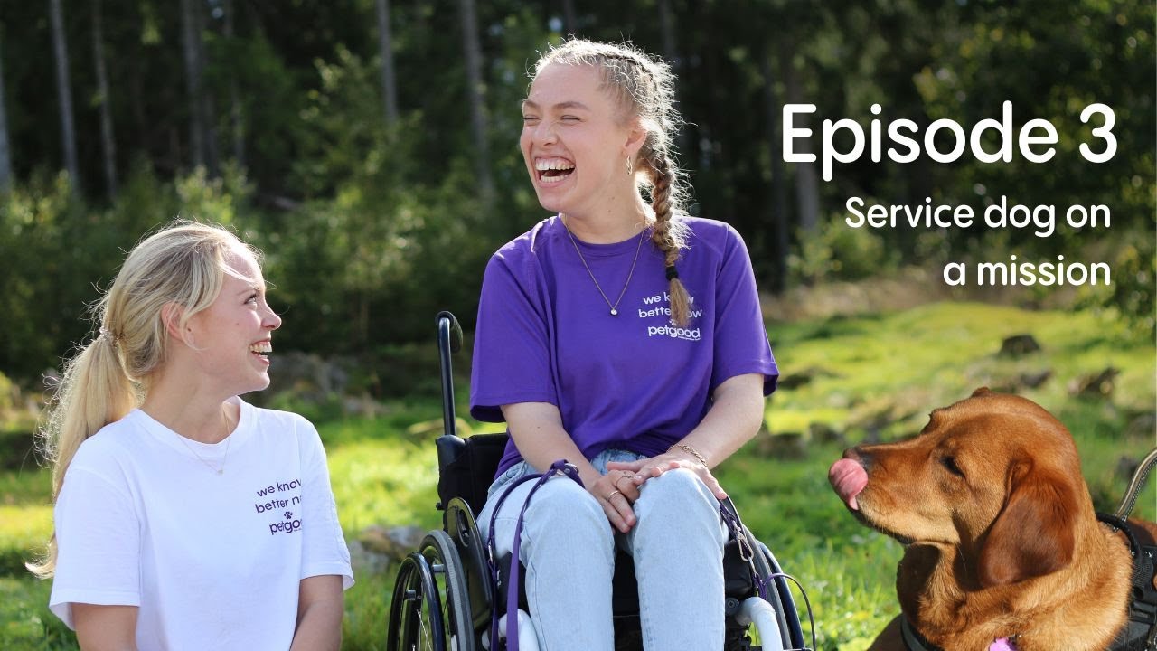 Episode 3: Service dog on a mission 🐶 - YouTube