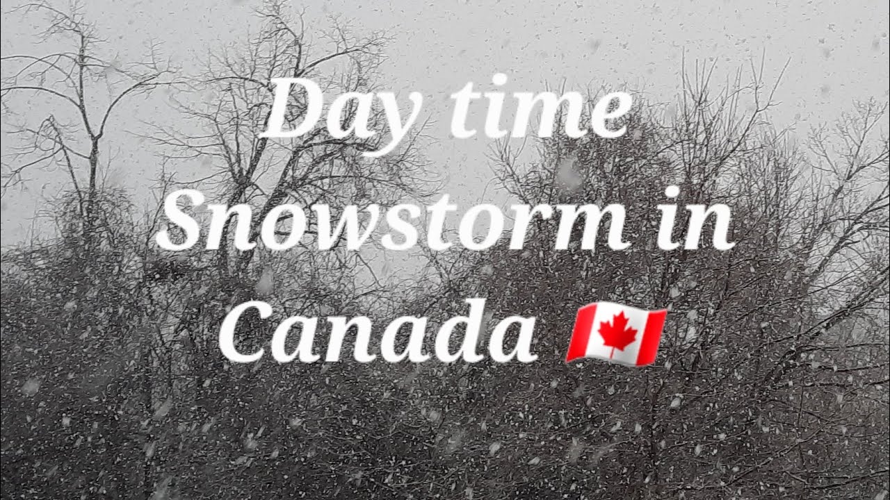 Day time Snowstorm In Canada 🇨🇦 - YouTube