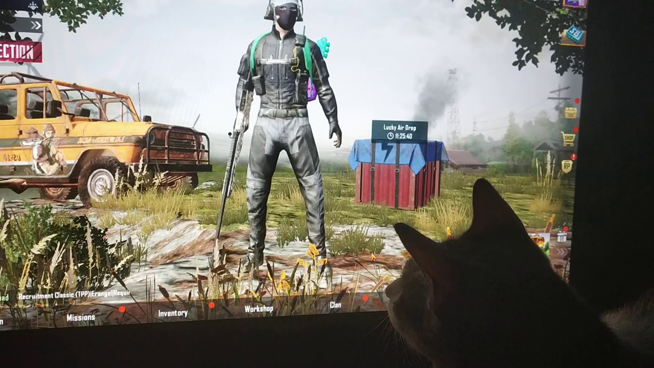 Cat Plays Pubg - YouTube