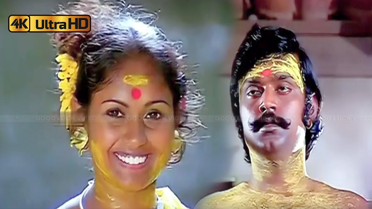 செவ்வள்ளி பூவே சித்திர பூங்காவே பாடல் | Sevvali Poove Song | Janaki ...