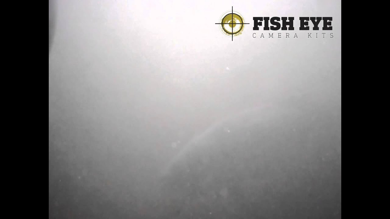 Fish EyE Camera Kit Mounted on Waverunner Bait Boat underwater footage ...
