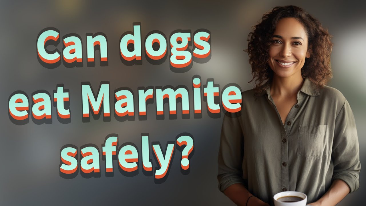 Can dogs eat Marmite safely? - YouTube