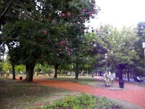 EL PARQUE CHACABUCO 2 - BARRIO PARQUE CHACABUCO - BUENOS AIRES ...