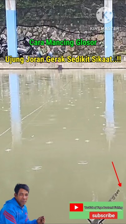 Cara Mancing Glosor || Ujung Joran Gerak Sedikit Sikaat..!! #shorts - YouTube