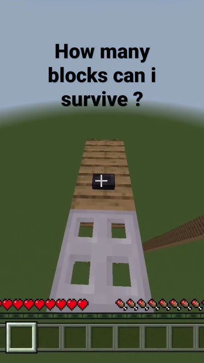 How many Blocks can I survive ? #minecraft - YouTube
